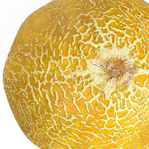哈密瓜英文怎么说_cantaloupe还是muskmelon-第2张图片-山城妙识 哈密瓜英文怎么说_cantaloupe还是muskmelon-第2张图片-山城妙识