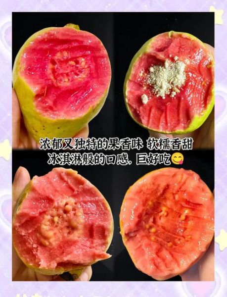 红心番石榴怎么吃_红心番石榴的吃法大全-第2张图片-山城妙识 红心番石榴怎么吃_红心番石榴的吃法大全-第2张图片-山城妙识