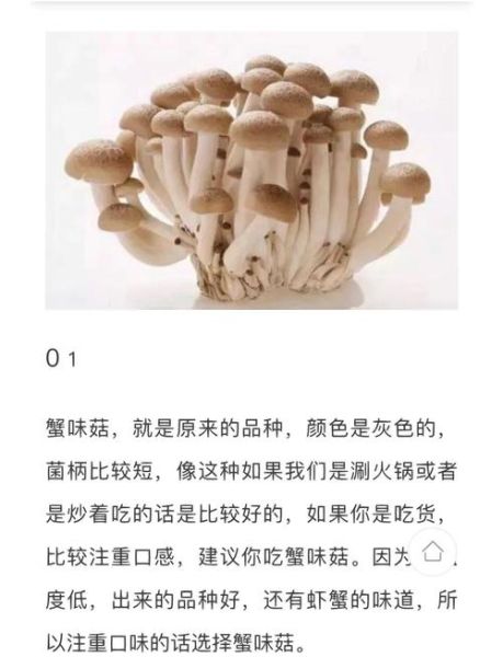 真姬菇和蟹味菇是一样的吗_区别与选购指南-第3张图片-山城妙识 真姬菇和蟹味菇是一样的吗_区别与选购指南-第3张图片-山城妙识