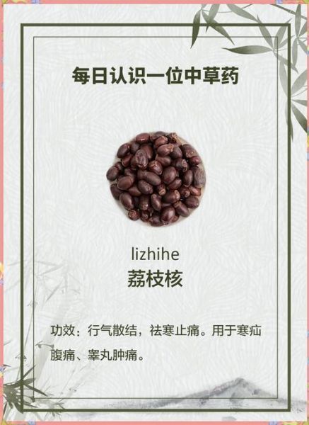 荔枝核的功效与作用_荔枝核怎么煮水-第3张图片-山城妙识 荔枝核的功效与作用_荔枝核怎么煮水-第3张图片-山城妙识