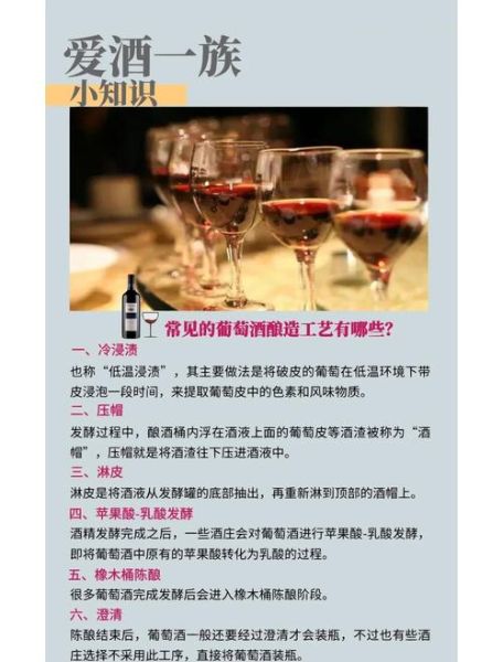 家庭葡萄酒怎么酿制最好喝_自酿葡萄酒详细步骤-第3张图片-山城妙识 家庭葡萄酒怎么酿制最好喝_自酿葡萄酒详细步骤-第3张图片-山城妙识