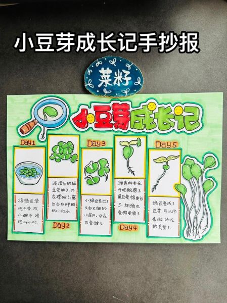 豆芽怎么种_豆芽生长过程观察日记简笔画-第1张图片-山城妙识 豆芽怎么种_豆芽生长过程观察日记简笔画-第1张图片-山城妙识