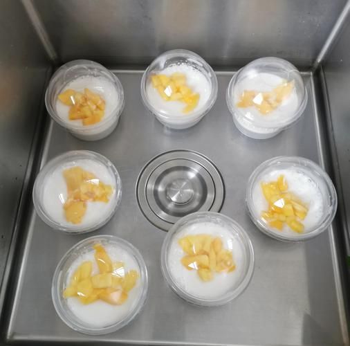 牛奶布丁怎么做最简单_牛奶布丁最简单做法-第2张图片-山城妙识 牛奶布丁怎么做最简单_牛奶布丁最简单做法-第2张图片-山城妙识
