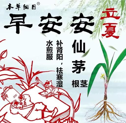 什么草药壮阳最快_壮阳草药有哪些-第3张图片-山城妙识 什么草药壮阳最快_壮阳草药有哪些-第3张图片-山城妙识