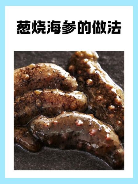 葱烧海参有什么功效_葱烧海参适合什么人吃-第3张图片-山城妙识