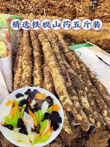 铁棍山药怎么做好吃_铁棍山药做法大全图解-第1张图片-山城妙识