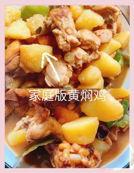 黄焖鸡米饭怎么做_家庭版黄焖鸡米饭做法-第2张图片-山城妙识