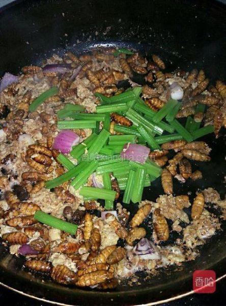 芹菜炒蚕蛹怎么做好吃_芹菜炒蚕蛹家常做法-第3张图片-山城妙识 芹菜炒蚕蛹怎么做好吃_芹菜炒蚕蛹家常做法-第3张图片-山城妙识