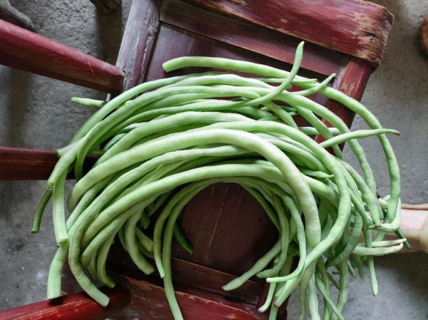 缸豆的功效与作用_缸豆怎么吃最营养-第3张图片-山城妙识 缸豆的功效与作用_缸豆怎么吃最营养-第3张图片-山城妙识