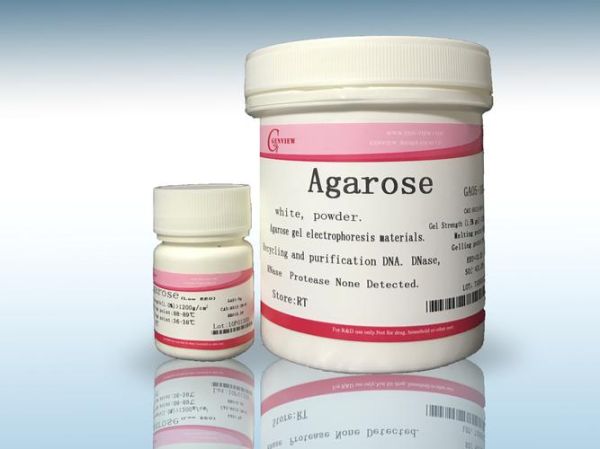 琼脂糖微球是什么_琼脂糖微球有哪些用途-第1张图片-山城妙识 琼脂糖微球是什么_琼脂糖微球有哪些用途-第1张图片-山城妙识