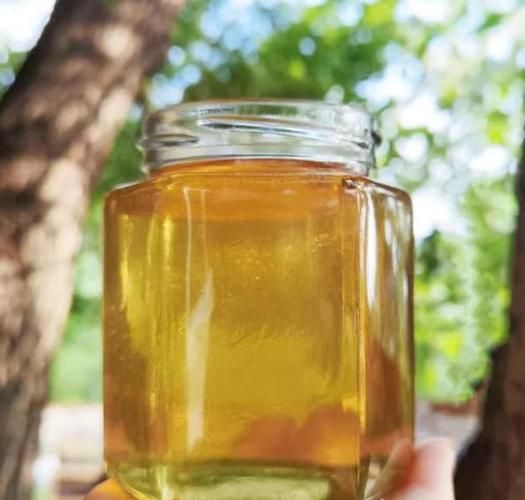 荆条蜜的功效与作用_荆条蜜适合什么人喝-第1张图片-山城妙识 荆条蜜的功效与作用_荆条蜜适合什么人喝-第1张图片-山城妙识