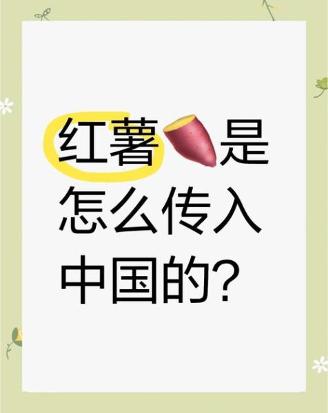 洋芋是什么时候传入中国的_传入路线与历史节点-第1张图片-山城妙识 洋芋是什么时候传入中国的_传入路线与历史节点-第1张图片-山城妙识