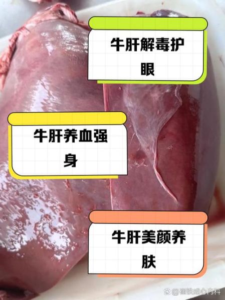 牛肝隔夜能吃吗_牛肝过夜为什么不能吃-第1张图片-山城妙识 牛肝隔夜能吃吗_牛肝过夜为什么不能吃-第1张图片-山城妙识