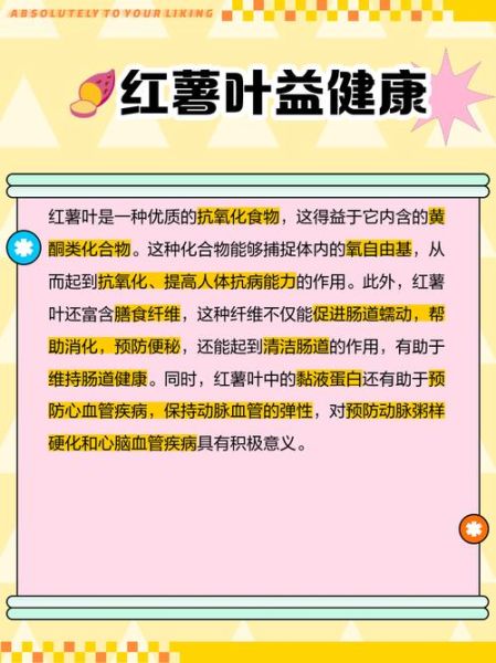 红薯叶的功效与作用禁忌_红薯叶什么人不能吃-第2张图片-山城妙识