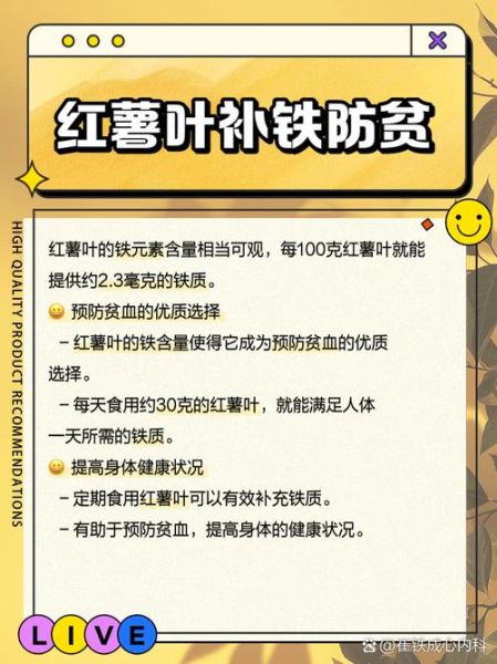 红薯叶的功效与作用禁忌_红薯叶什么人不能吃-第1张图片-山城妙识