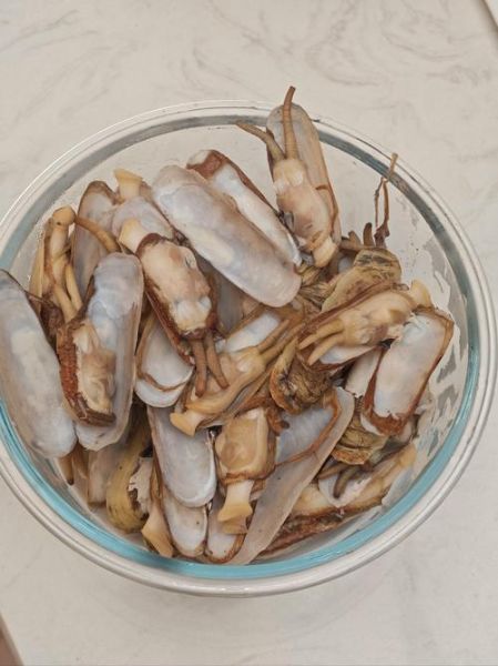 花甲怎么清洗才干净_花甲焯水几分钟才刚好-第3张图片-山城妙识 花甲怎么清洗才干净_花甲焯水几分钟才刚好-第3张图片-山城妙识