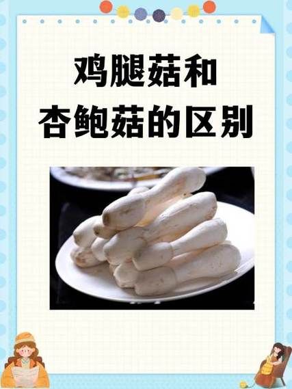 鸡腿菇和杏鲍菇的区别_如何一眼分辨-第2张图片-山城妙识 鸡腿菇和杏鲍菇的区别_如何一眼分辨-第2张图片-山城妙识