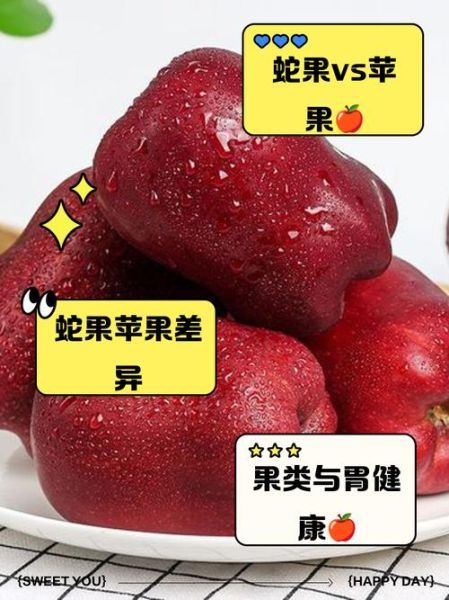蛇果和苹果的区别_蛇果为什么更贵-第2张图片-山城妙识 蛇果和苹果的区别_蛇果为什么更贵-第2张图片-山城妙识