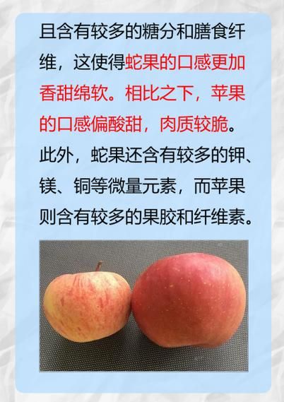 蛇果和苹果的区别_蛇果为什么更贵-第1张图片-山城妙识 蛇果和苹果的区别_蛇果为什么更贵-第1张图片-山城妙识