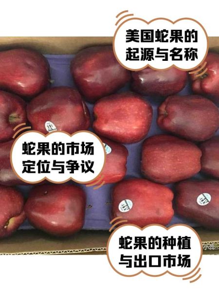 蛇果和苹果的区别_蛇果为什么更贵-第3张图片-山城妙识 蛇果和苹果的区别_蛇果为什么更贵-第3张图片-山城妙识