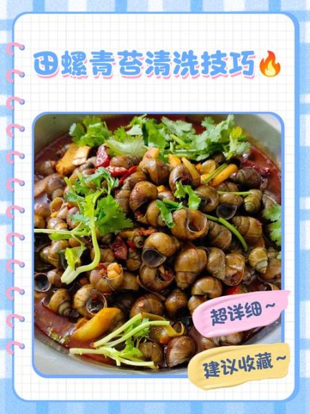 田螺肉怎么清洗才干净_田螺肉炒多久才入味-第2张图片-山城妙识 田螺肉怎么清洗才干净_田螺肉炒多久才入味-第2张图片-山城妙识