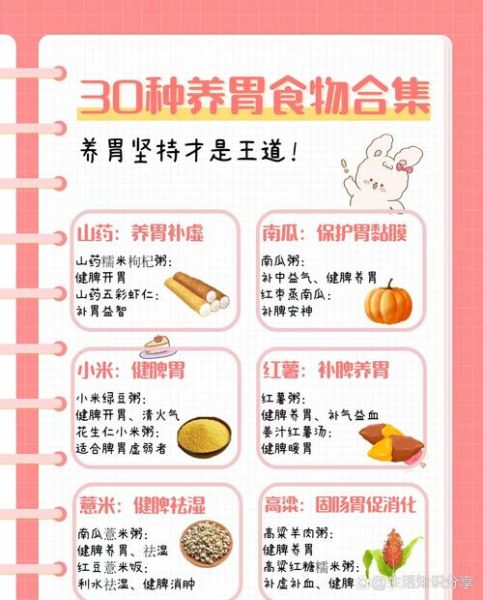 养胃的主食有哪些_怎么吃最舒服-第3张图片-山城妙识 养胃的主食有哪些_怎么吃最舒服-第3张图片-山城妙识