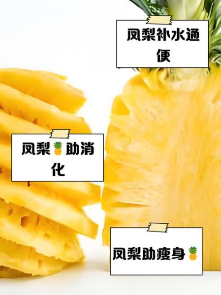 菠萝的营养价值有哪些_吃菠萝会胖吗-第1张图片-山城妙识 菠萝的营养价值有哪些_吃菠萝会胖吗-第1张图片-山城妙识