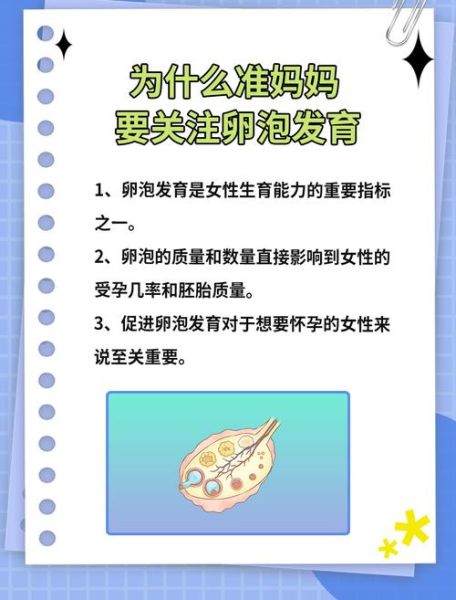 黑豆豆浆促排卵吗_卵泡猛长的真相-第1张图片-山城妙识 黑豆豆浆促排卵吗_卵泡猛长的真相-第1张图片-山城妙识