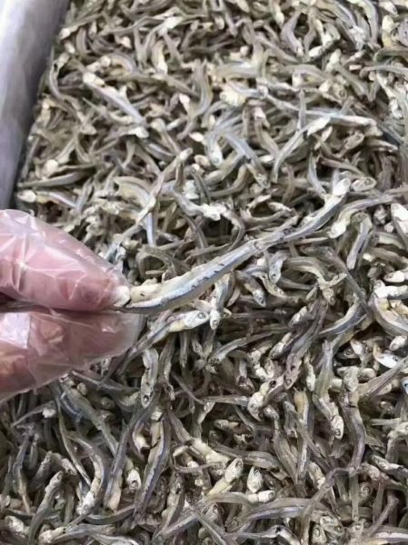 丁香鱼怎么做好吃_丁香鱼营养价值-第3张图片-山城妙识 丁香鱼怎么做好吃_丁香鱼营养价值-第3张图片-山城妙识