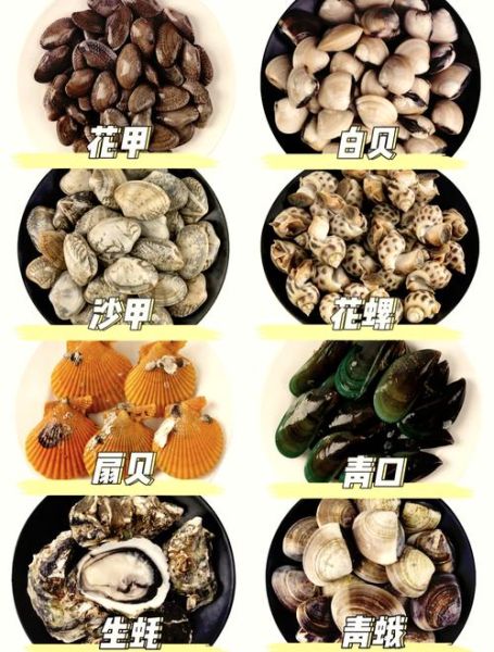 蚬子和花蛤的区别哪个好吃_口感营养大比拼-第1张图片-山城妙识 蚬子和花蛤的区别哪个好吃_口感营养大比拼-第1张图片-山城妙识