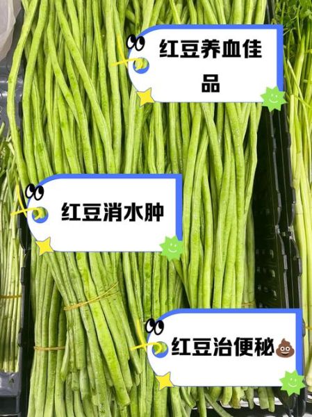 豆角英语怎么说_如何正确发音-第3张图片-山城妙识 豆角英语怎么说_如何正确发音-第3张图片-山城妙识