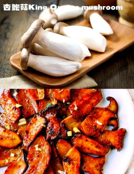 蘑菇图片素材去哪找_如何挑选高清商用图-第3张图片-山城妙识 蘑菇图片素材去哪找_如何挑选高清商用图-第3张图片-山城妙识