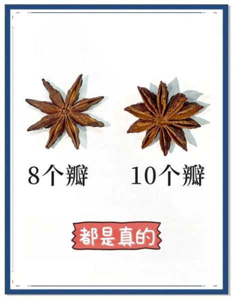 八角图片大全大图_八角真假怎么辨别-第1张图片-山城妙识 八角图片大全大图_八角真假怎么辨别-第1张图片-山城妙识