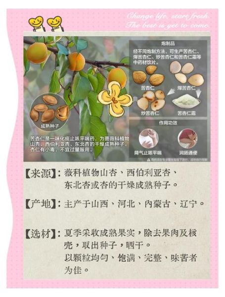 杏仁的功效与作用有哪些_杏仁的禁忌是什么-第3张图片-山城妙识 杏仁的功效与作用有哪些_杏仁的禁忌是什么-第3张图片-山城妙识