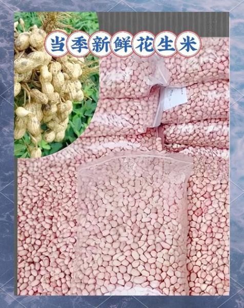 生花生米多少钱一斤_生花生米价格走势-第1张图片-山城妙识 生花生米多少钱一斤_生花生米价格走势-第1张图片-山城妙识