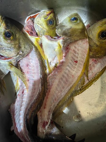 鸡肝钓鱼用生的还是熟的_熟鸡肝钓什么鱼最好-第3张图片-山城妙识 鸡肝钓鱼用生的还是熟的_熟鸡肝钓什么鱼最好-第3张图片-山城妙识