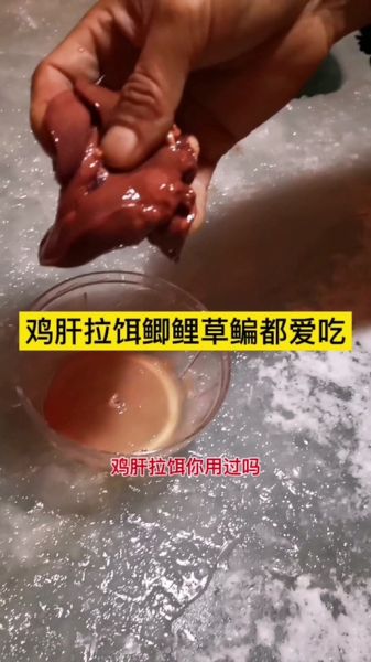 鸡肝钓鱼用生的还是熟的_熟鸡肝钓什么鱼最好-第2张图片-山城妙识 鸡肝钓鱼用生的还是熟的_熟鸡肝钓什么鱼最好-第2张图片-山城妙识