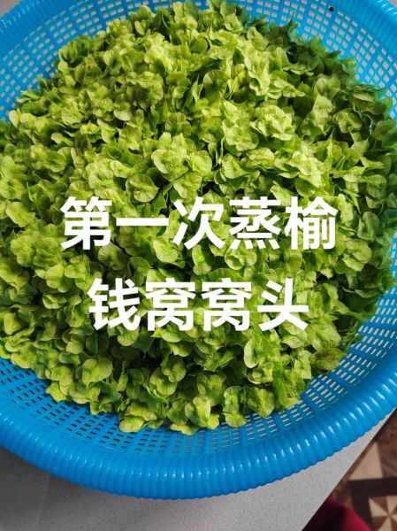 窝窝头一块钱四个是什么时候的梗_出处时间线-第3张图片-山城妙识 窝窝头一块钱四个是什么时候的梗_出处时间线-第3张图片-山城妙识