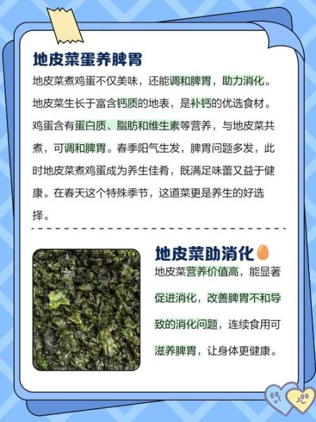 地皮菜的营养价值_地皮菜的功效与作用-第1张图片-山城妙识 地皮菜的营养价值_地皮菜的功效与作用-第1张图片-山城妙识