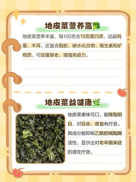 地皮菜的营养价值_地皮菜的功效与作用-第3张图片-山城妙识 地皮菜的营养价值_地皮菜的功效与作用-第3张图片-山城妙识