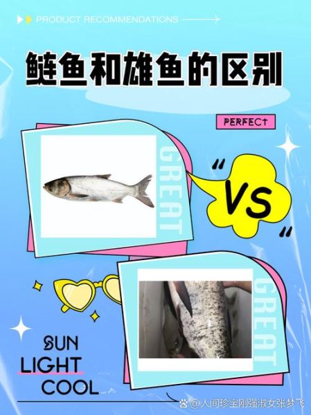 雄鱼是什么鱼_雄鱼与黑鱼的区别-第2张图片-山城妙识 雄鱼是什么鱼_雄鱼与黑鱼的区别-第2张图片-山城妙识