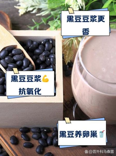 女人喝豆浆黑豆好还是黄豆好_哪个更适合女性-第1张图片-山城妙识 女人喝豆浆黑豆好还是黄豆好_哪个更适合女性-第1张图片-山城妙识