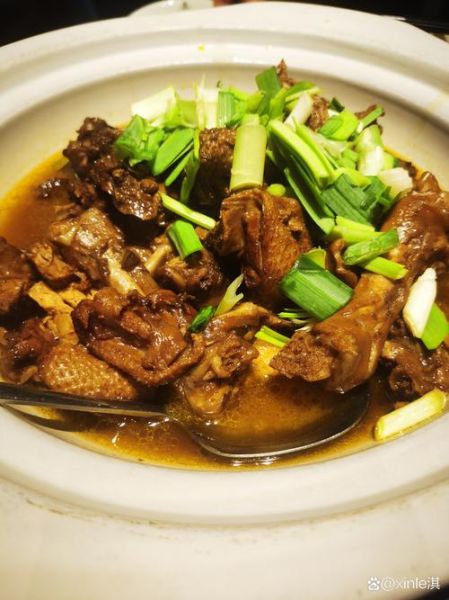 鹅肉红烧怎么做_红烧鹅肉最正宗做法-第2张图片-山城妙识 鹅肉红烧怎么做_红烧鹅肉最正宗做法-第2张图片-山城妙识