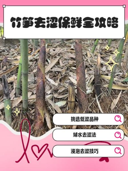 新鲜竹笋怎么做好吃不苦_竹笋去涩味技巧-第1张图片-山城妙识 新鲜竹笋怎么做好吃不苦_竹笋去涩味技巧-第1张图片-山城妙识