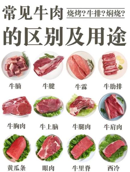 牛腩哪个部位最好吃_牛腩最好部位图片解析-第2张图片-山城妙识 牛腩哪个部位最好吃_牛腩最好部位图片解析-第2张图片-山城妙识