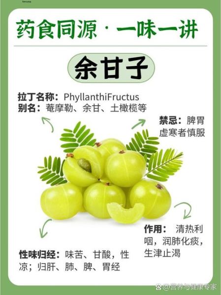 余甘子生粉的功效与禁忌_余甘子生粉怎么吃才安全-第3张图片-山城妙识 余甘子生粉的功效与禁忌_余甘子生粉怎么吃才安全-第3张图片-山城妙识