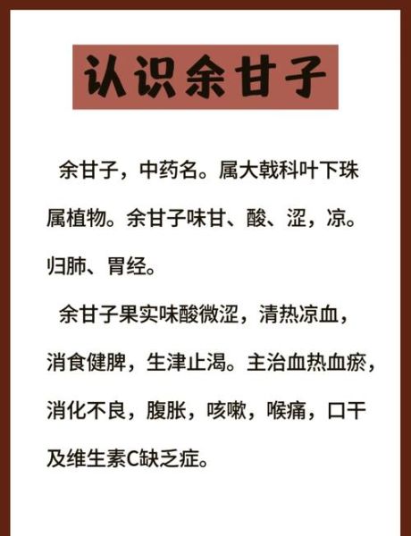 余甘子生粉的功效与禁忌_余甘子生粉怎么吃才安全-第1张图片-山城妙识 余甘子生粉的功效与禁忌_余甘子生粉怎么吃才安全-第1张图片-山城妙识