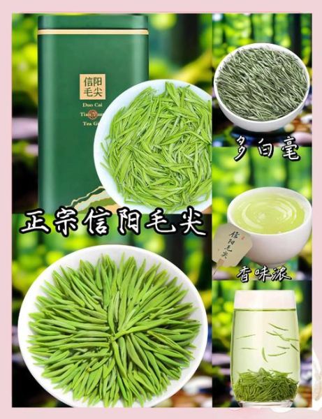 信阳毛尖哪个牌子最正宗_信阳毛尖正宗品牌推荐-第2张图片-山城妙识