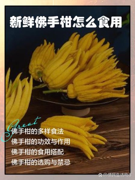 佛手功效与作用及禁忌_佛手怎么吃最好-第1张图片-山城妙识 佛手功效与作用及禁忌_佛手怎么吃最好-第1张图片-山城妙识