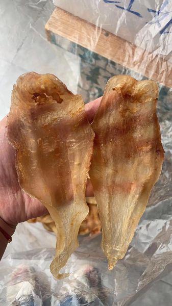 鳘鱼胶多少钱一斤_鳘鱼胶价格为什么差距大-第1张图片-山城妙识 鳘鱼胶多少钱一斤_鳘鱼胶价格为什么差距大-第1张图片-山城妙识